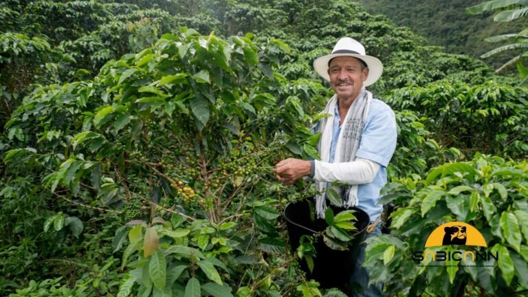 Por qué el Macizo Colombiano es el nuevo destino imperdible para el ...